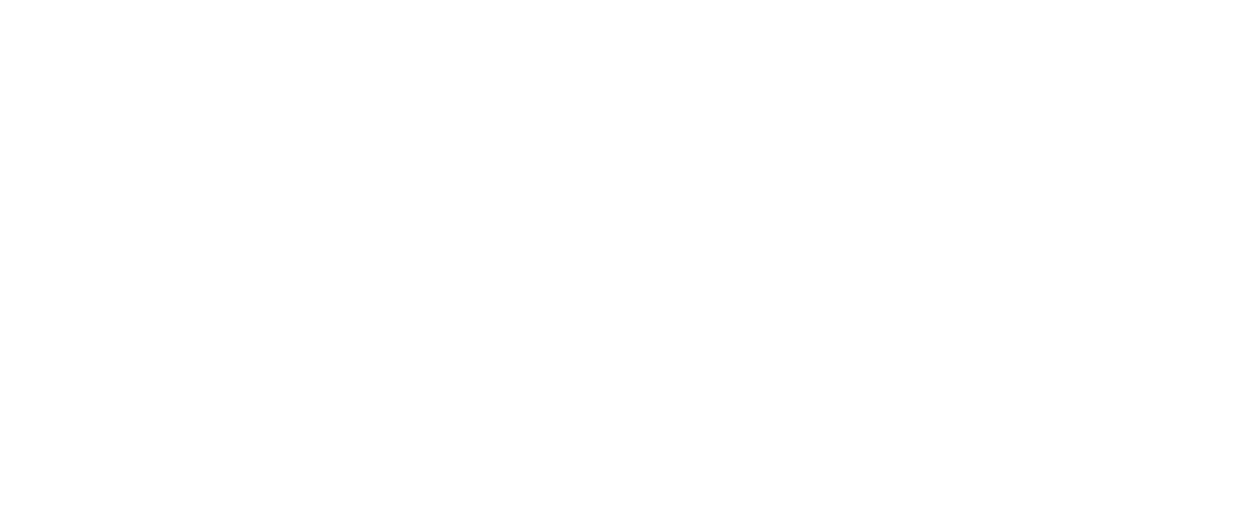 About Us - Roxen AI Solutions